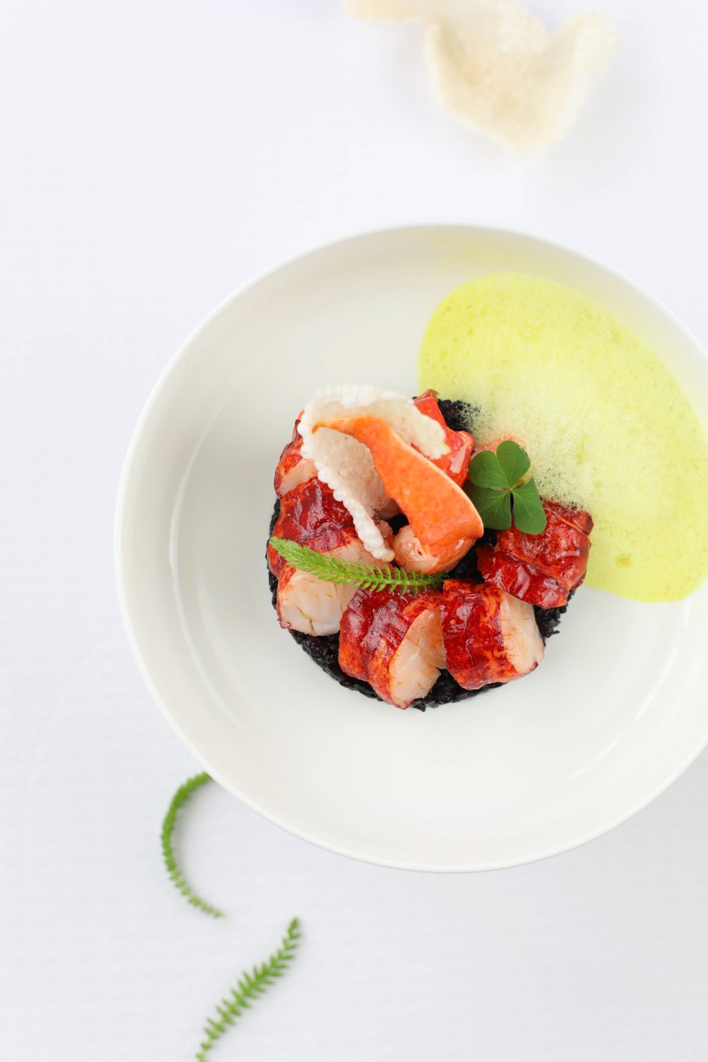 La Barbacane | Restaurant gastronomique à Carcassonne