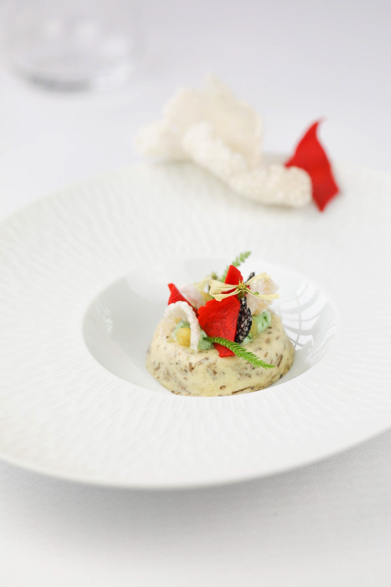 La Barbacane | Restaurant gastronomique à Carcassonne